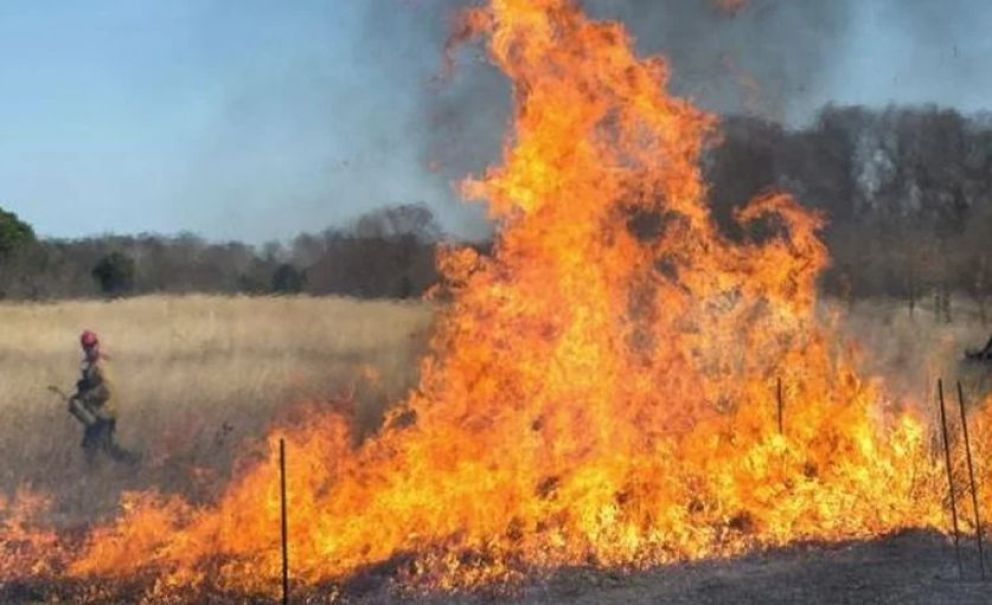 El manejo del fuego: requisitos para realizar una quema controlada ...