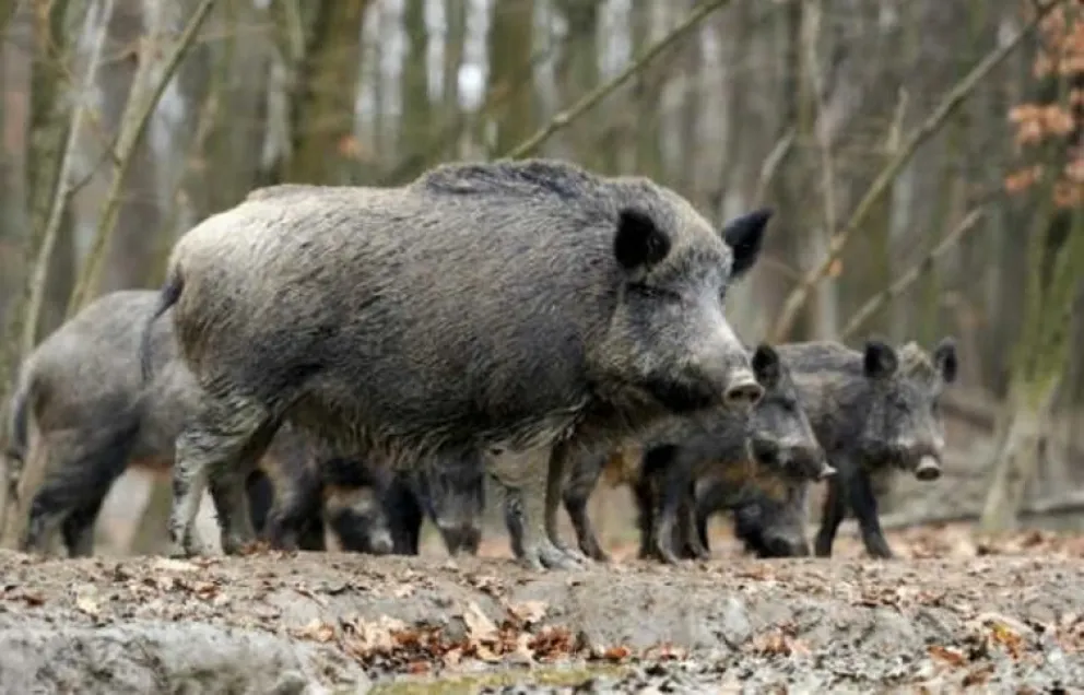 Hay en el horizonte una capacitación poniéndose énfasis en las ...