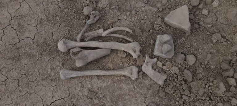 Encontraron restos óseos e intervino Criminalística | NoticiasNet ...